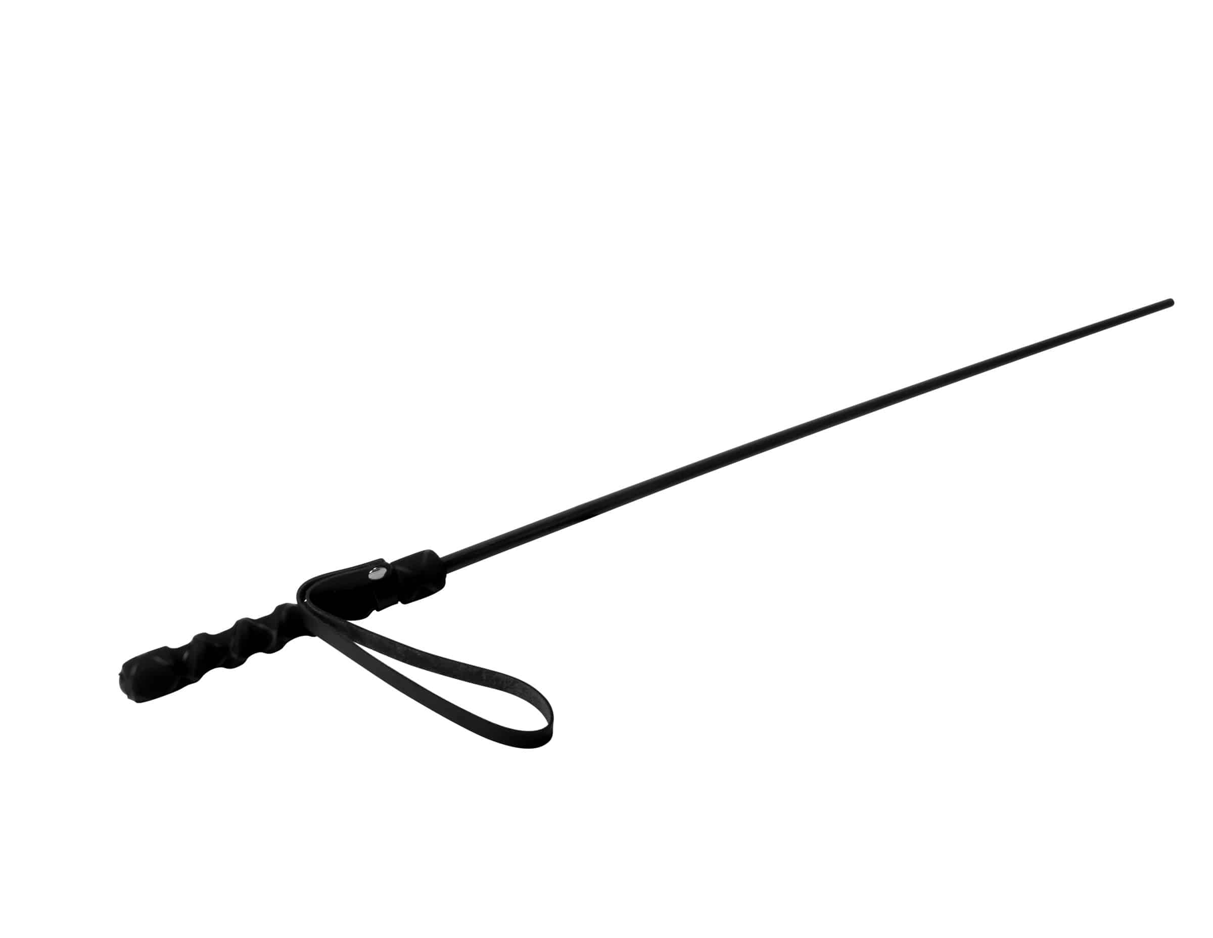 Isabella Sinclaire Intense Impact Cane - Upper-Taste Adult Site